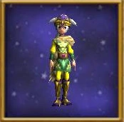 Robe of the Runeblessed | Wizard 101 Wiki | Fandom