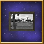Framed Oasis Photo | Wizard 101 Wiki | Fandom