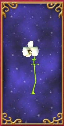 Pearl Orchid | Wizard 101 Wiki | Fandom