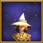 Novice's Hat | Wizard 101 Wiki | Fandom