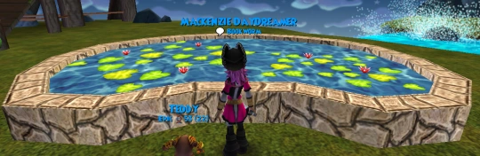 Brick-Walled Pond | Wizard 101 Wiki | Fandom