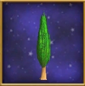 Small Cyprus Tree | Wizard 101 Wiki | Fandom