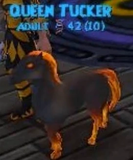 Nightmare | Wizard 101 Wiki | Fandom