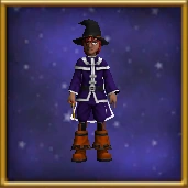 Novice's Robe | Wizard 101 Wiki | Fandom