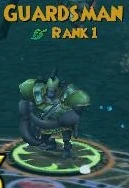 Guardsman | Wizard 101 Wiki | Fandom