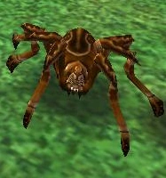 Brown Spider | Wizard 101 Wiki | Fandom