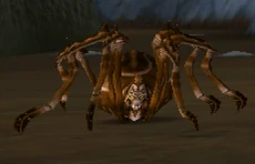 Webwood Scuttler | Wizard 101 Wiki | Fandom