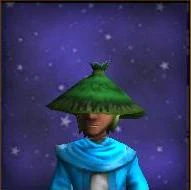 Druidic Cowl | Wizard 101 Wiki | Fandom