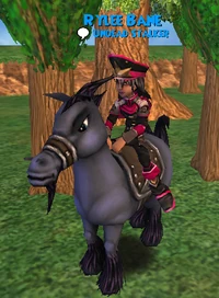 Mounts | Wizard 101 Wiki | Fandom