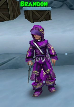 NSC:Brandon | Wizard101-Freak Wiki | Fandom