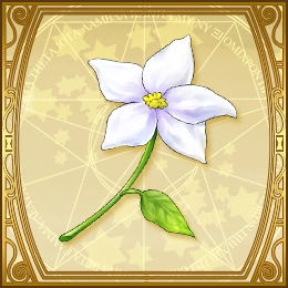 Consumable Items | Wizardess Heart Wikia | Fandom