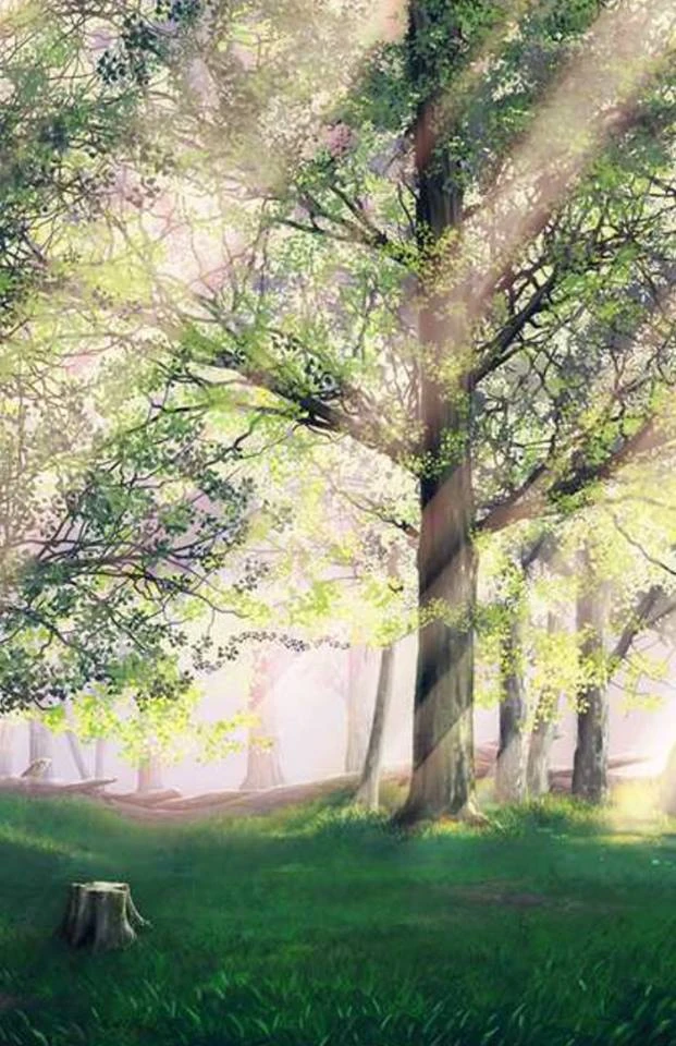 Northern Forest Valley | Wizardess Heart Wikia | Fandom