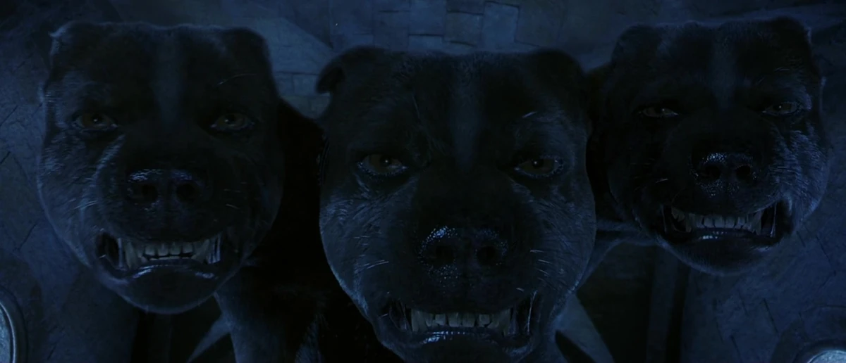 Fluffy | Wizarding World Film Wiki | Fandom