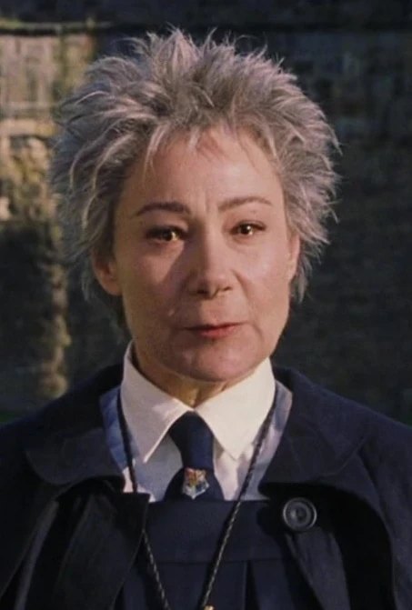 Rolanda Hooch | Wizarding World Film Wiki | Fandom