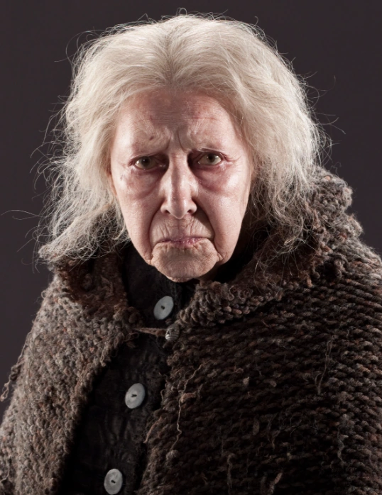Bathilda Bagshot | Wizarding World Film Wiki | Fandom