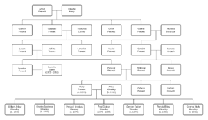 Prewett Family | Wizarding World Fandom (AP) Wiki | Fandom