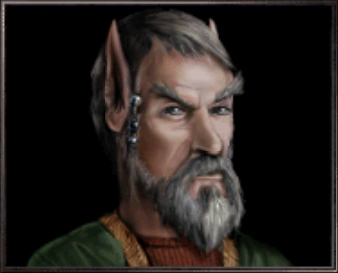 Elf | Wizardry Wiki | Fandom