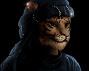 Felpurr | Wizardry Wiki | Fandom