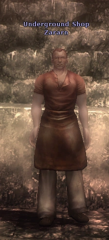 Zaran | Wizardry Online Wiki | Fandom