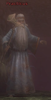 Practicus | Wizardry Online Wiki | Fandom