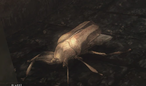 Scrooge Beetle | Wizardry Online Wiki | Fandom