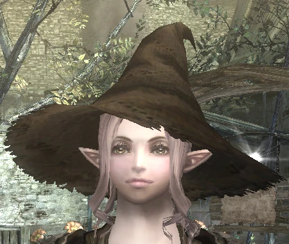 Special Pointy Hat | Wizardry Online Wiki | Fandom