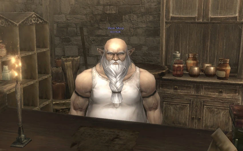 Shops | Wizardry Online Wiki | Fandom