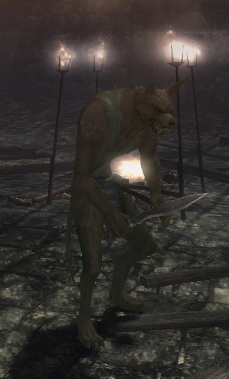 Kobold | Wizardry Online Wiki | Fandom