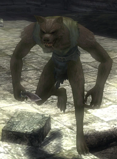 Kobold Warrior | Wizardry Online Wiki | Fandom