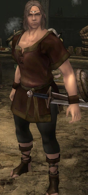 Fighter | Wizardry Online Wiki | Fandom