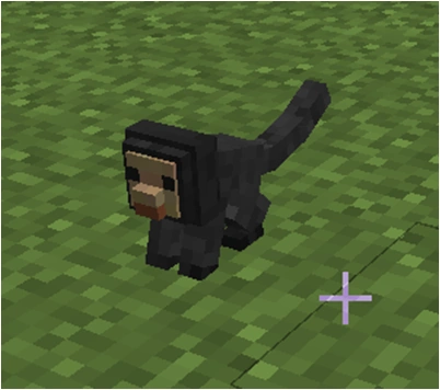 Tamarin | WizardsAnimalsWiki Wiki | Fandom