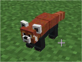 Red Panda | WizardsAnimalsWiki Wiki | Fandom