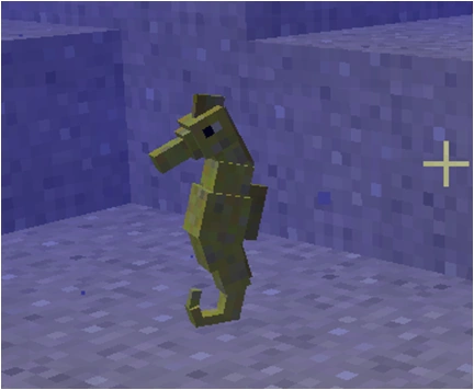Sea Horse | WizardsAnimalsWiki Wiki | Fandom