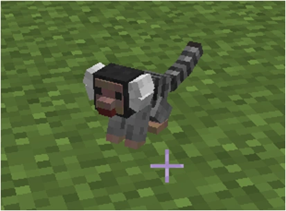 Marmoset | WizardsAnimalsWiki Wiki | Fandom