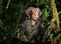 Varg | Wizards vs Aliens Wiki | Fandom