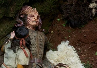 Varg | Wizards vs Aliens Wiki | Fandom