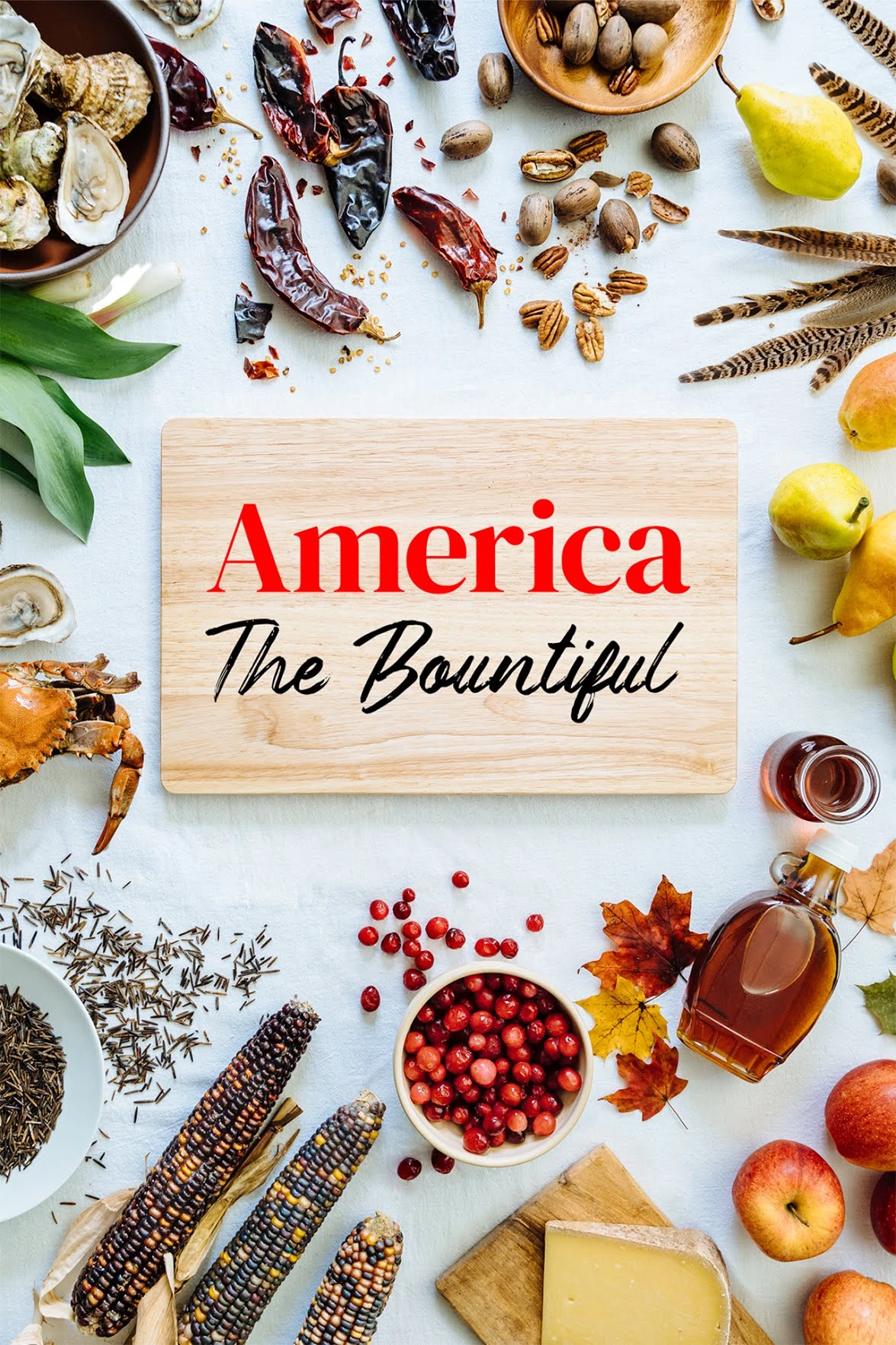 America the Bountiful Funding Credits | WKBS PBS Kids Wiki | Fandom