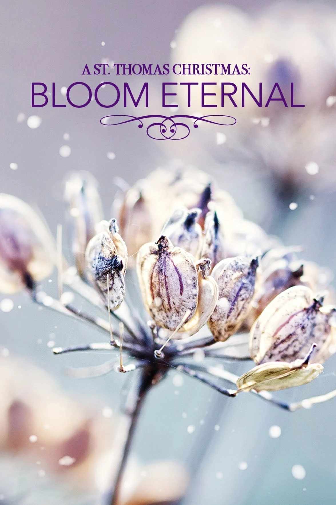 A St. Thomas Christmas: Bloom Eternal Funding Credits | WKBS PBS Kids ...