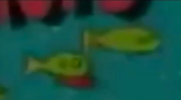 Yellow | WKBS PBS Kids Wiki | Fandom