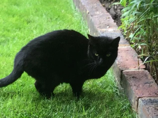 Billie | Wizer Wiki | Fandom