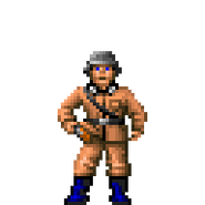 Game Sprites | Wolfenstein 3D Wiki | Fandom