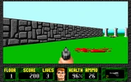The Army of Insanity | Wolfenstein 3D Wiki | Fandom
