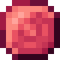EvidentP | WMCT Wiki | Fandom
