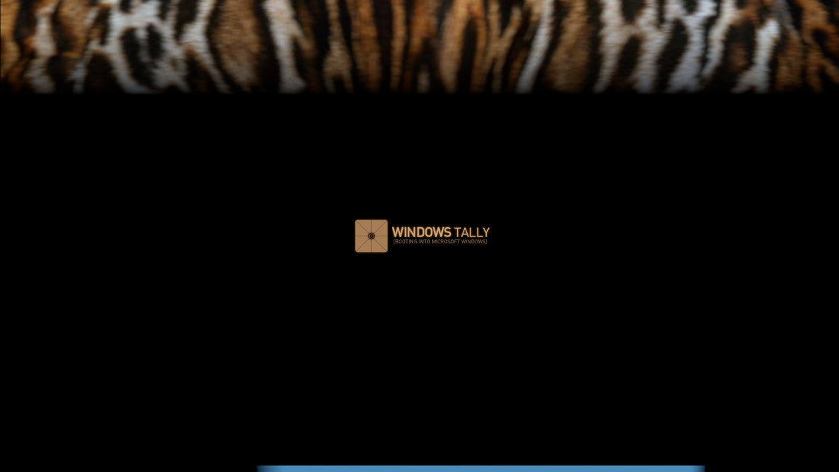 Windows Tally Windows Never Released Wiki Fandom