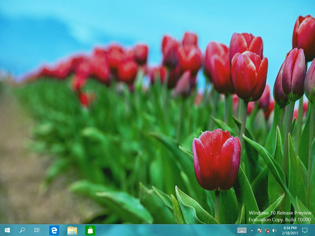 Windows 10 Release Preview | The Mockupverse Wiki | Fandom