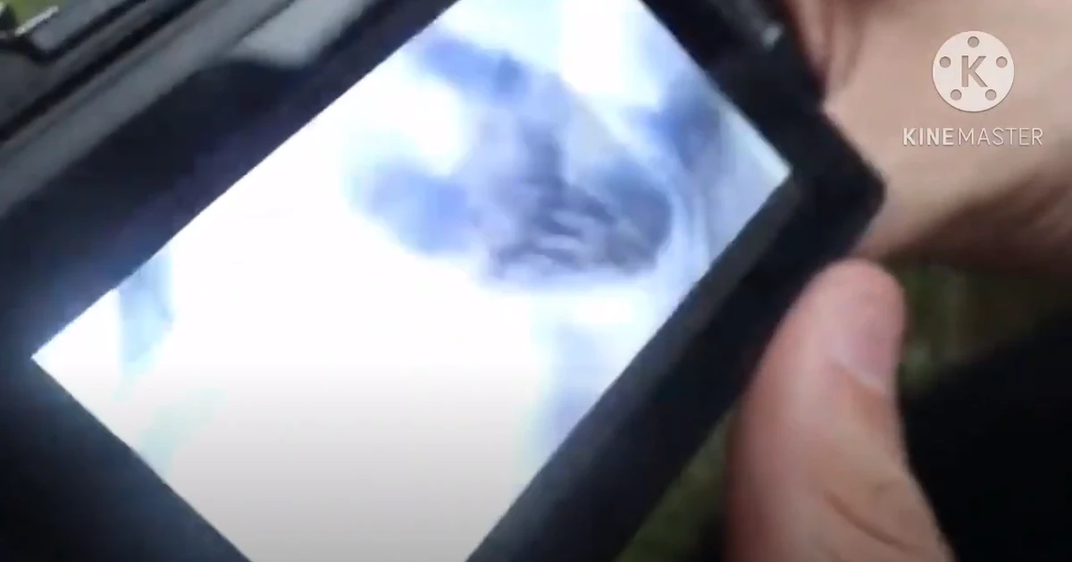 The Rake | Woah Universe Remastered Wiki | Fandom