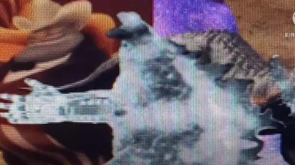 Void godzilla | Woah the crash bandicoot Wiki | Fandom