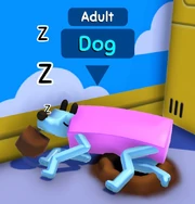 Wobbledogs (species) | Wobbledogs Wiki | Fandom