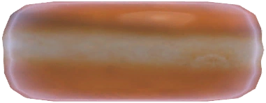 Doughnut | Wobbledogs Wiki | Fandom