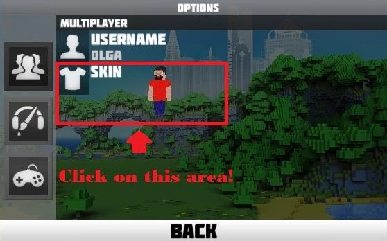 Skins | World of Cubes Wiki | Fandom